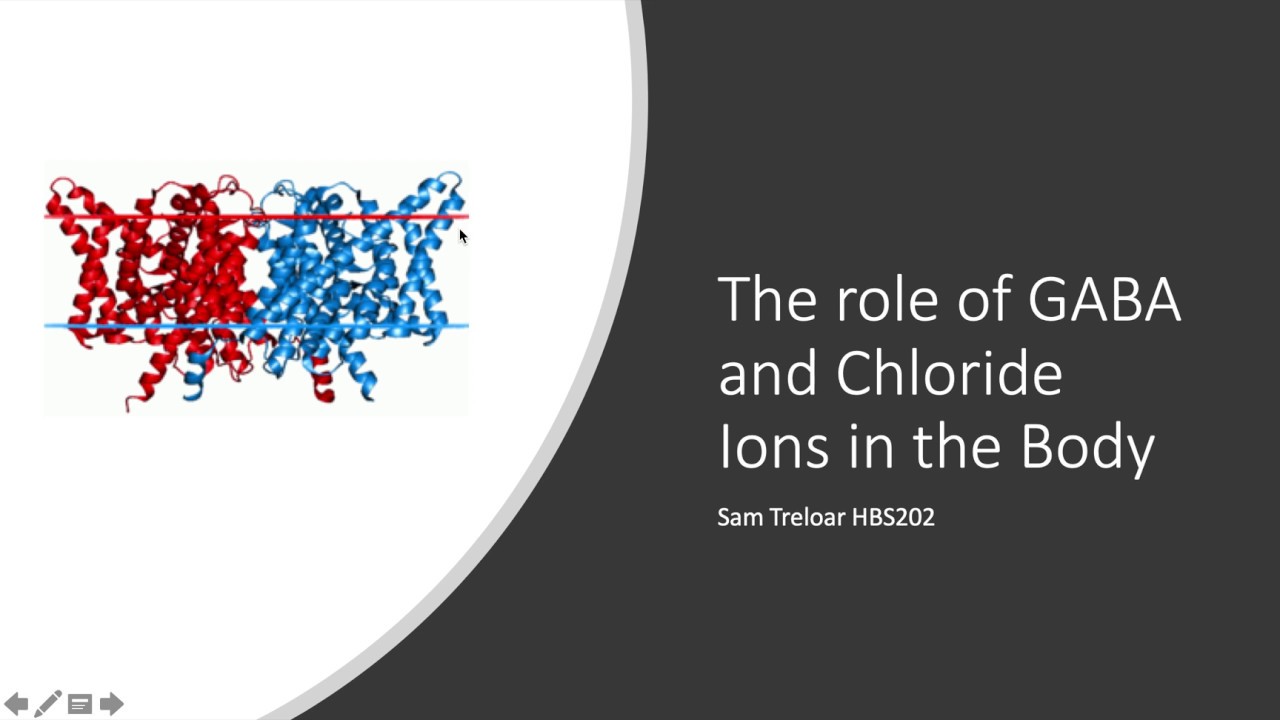 The role of GABA and Chloride Ions in the Body - YouTube