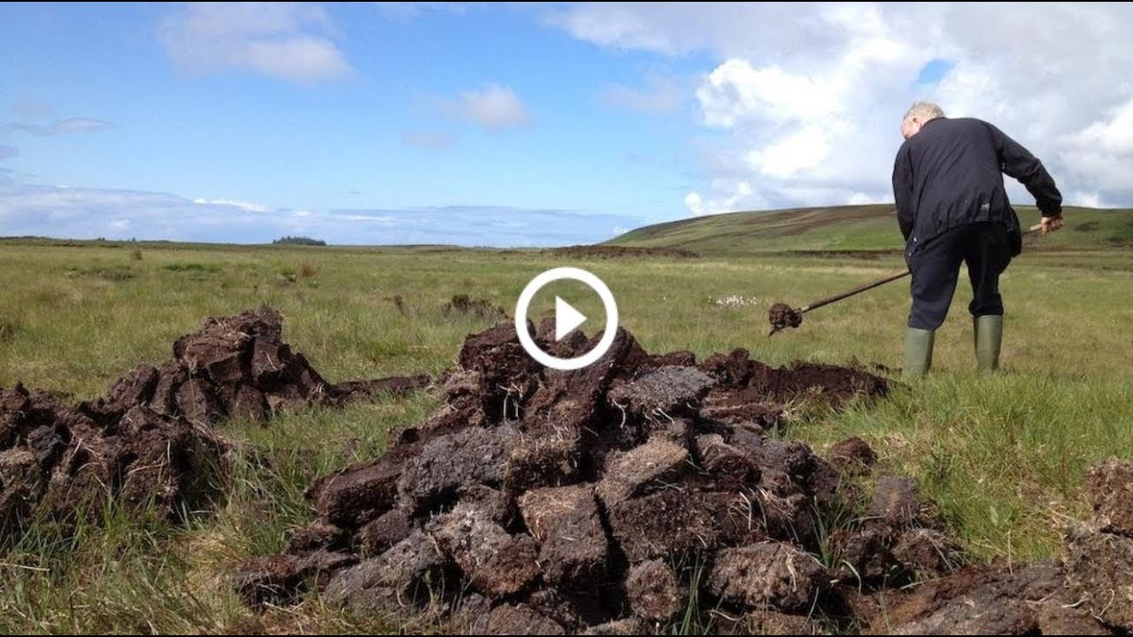 Tout, tout, tout sur la tourbe - YouTube