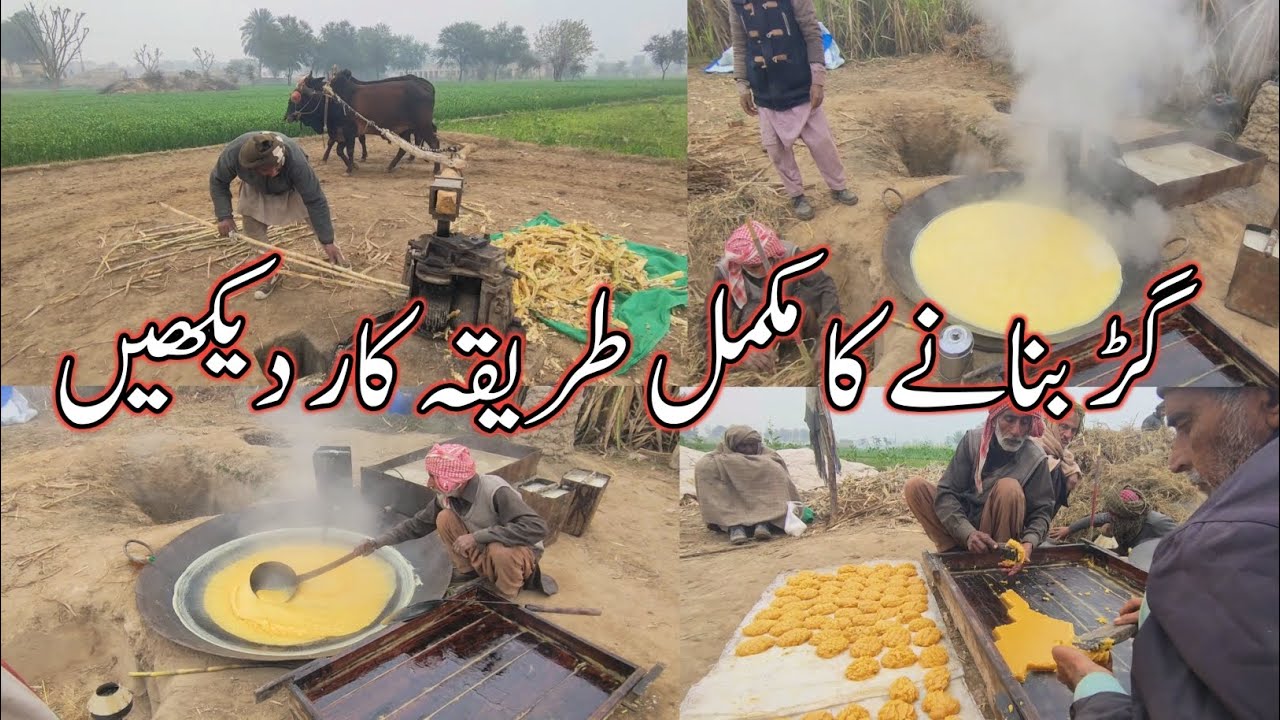 Traditional Jaggery Making || Making Of Gurr || Step By Step Complete ...