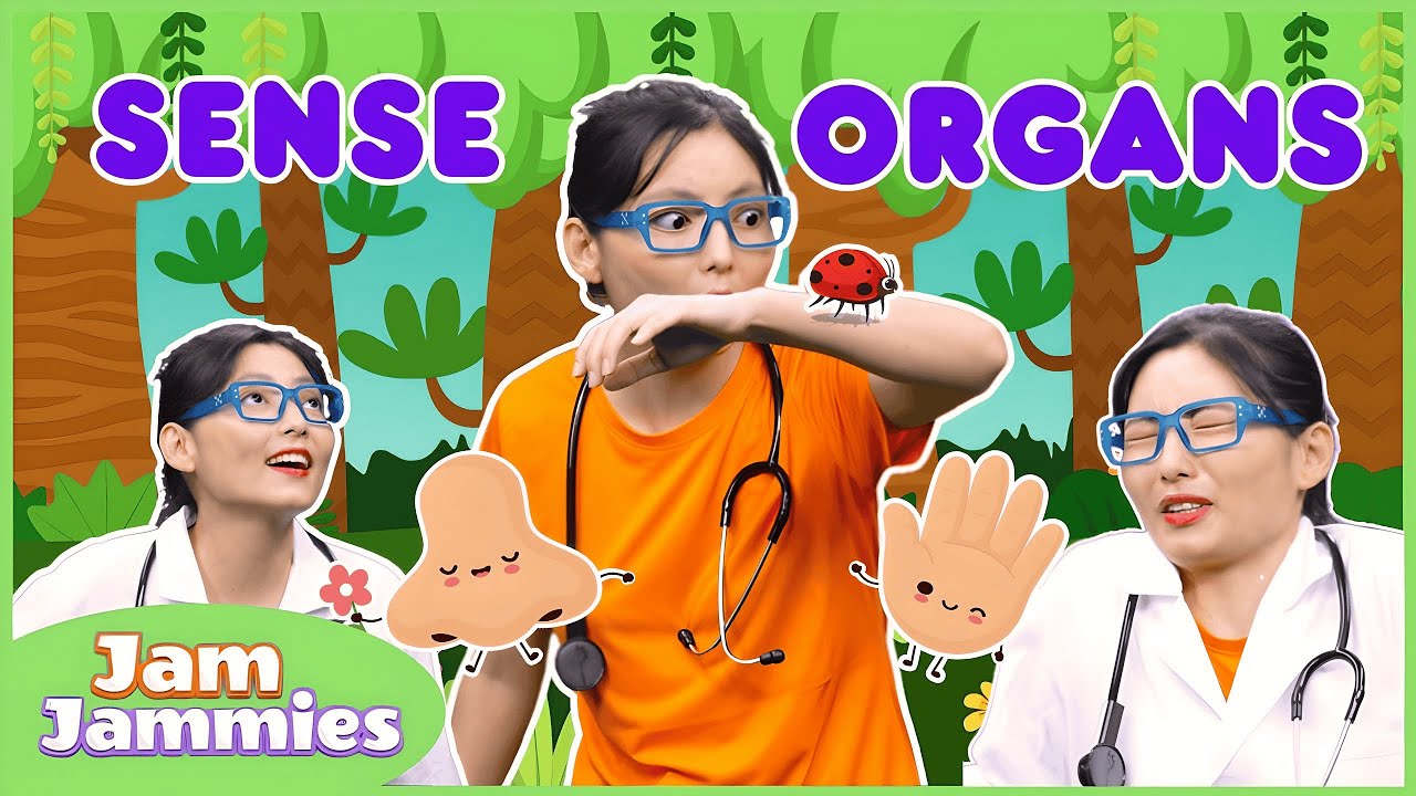Sense Organs Song And More | Nursery Rhymes & Kids Songs | JamJammies ...