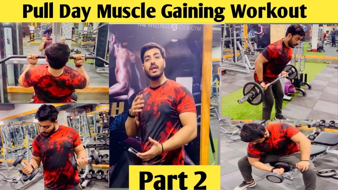 Pull Day Workout plan For Muscle Gaining | Back Workout For Muscle ...