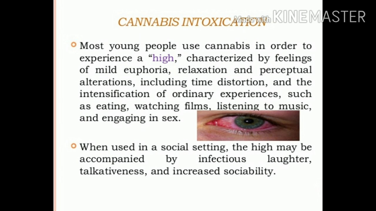 Biology/cannabis drugs/charas/ganja - YouTube