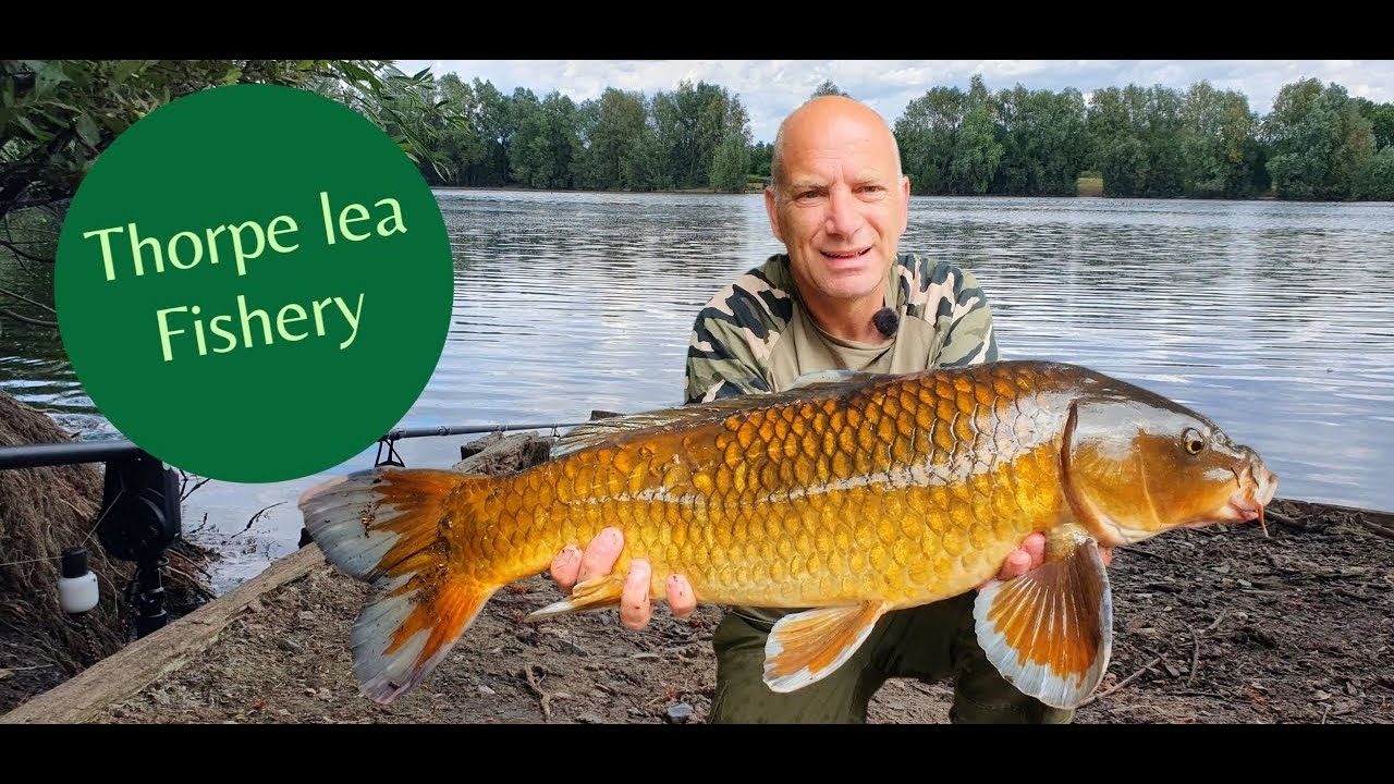 Carp fishing @Thorpe lea fishery in Surrey and giveaway competition ...