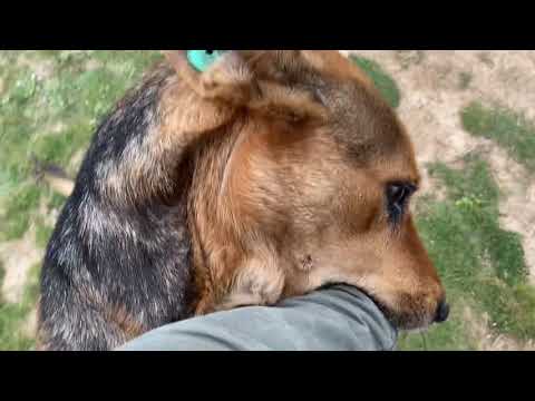 Günaydin dostlarım