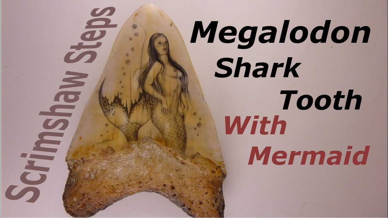 Scrimshaw Steps by Adams - Mermaid on a Megalodon Shark Tooth - YouTube