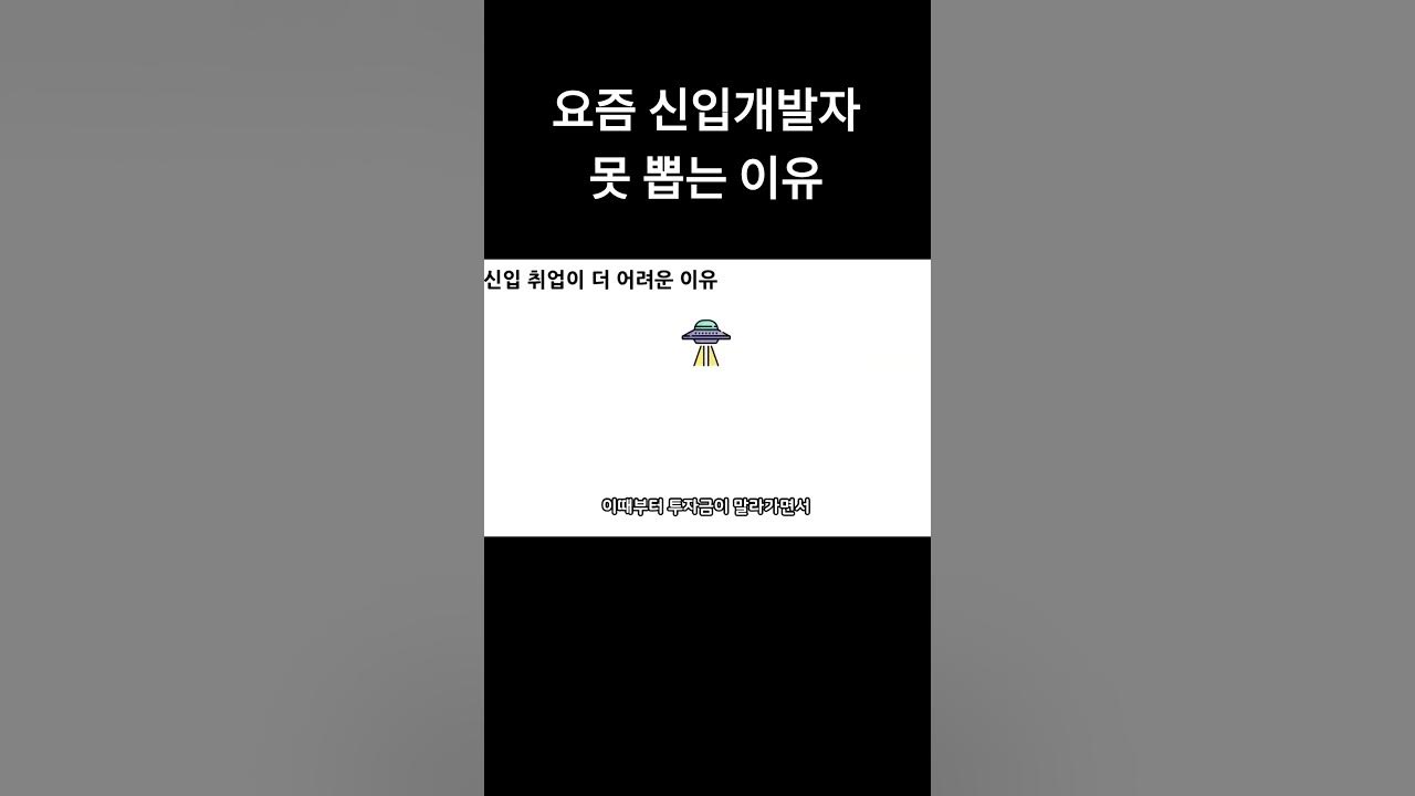 요즘 신입 개발자 취업이 안되는 이유 개발자 취업 부트캠프 국비지원 Youtube