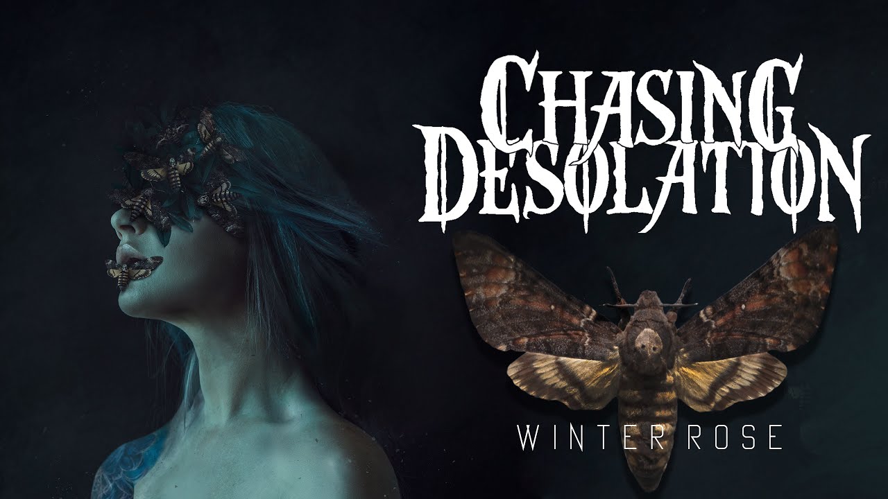 Chasing Desolation - Winter Rose - YouTube