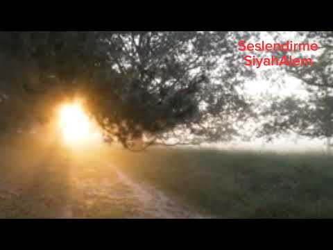 Ona yanarım #şiir #keşfet #song  #şiirsokakta #viral #siirdinle