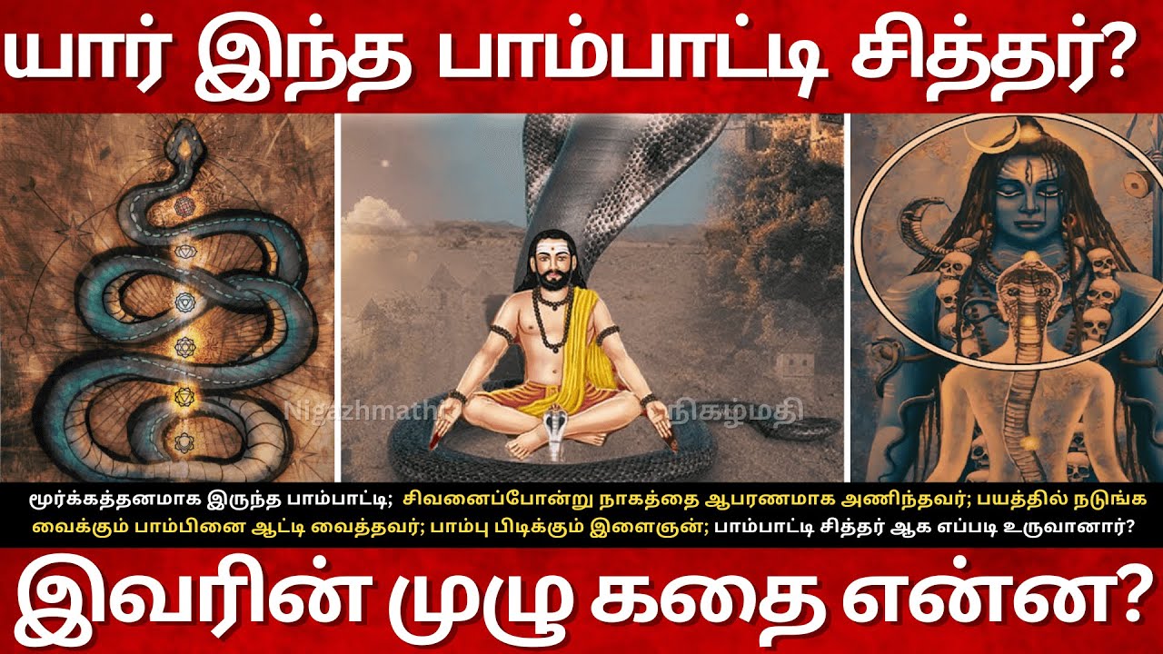 12th Century Pambatti Siddhar History | யார் இந்த பாம்பாட்டி சித்தர் ...