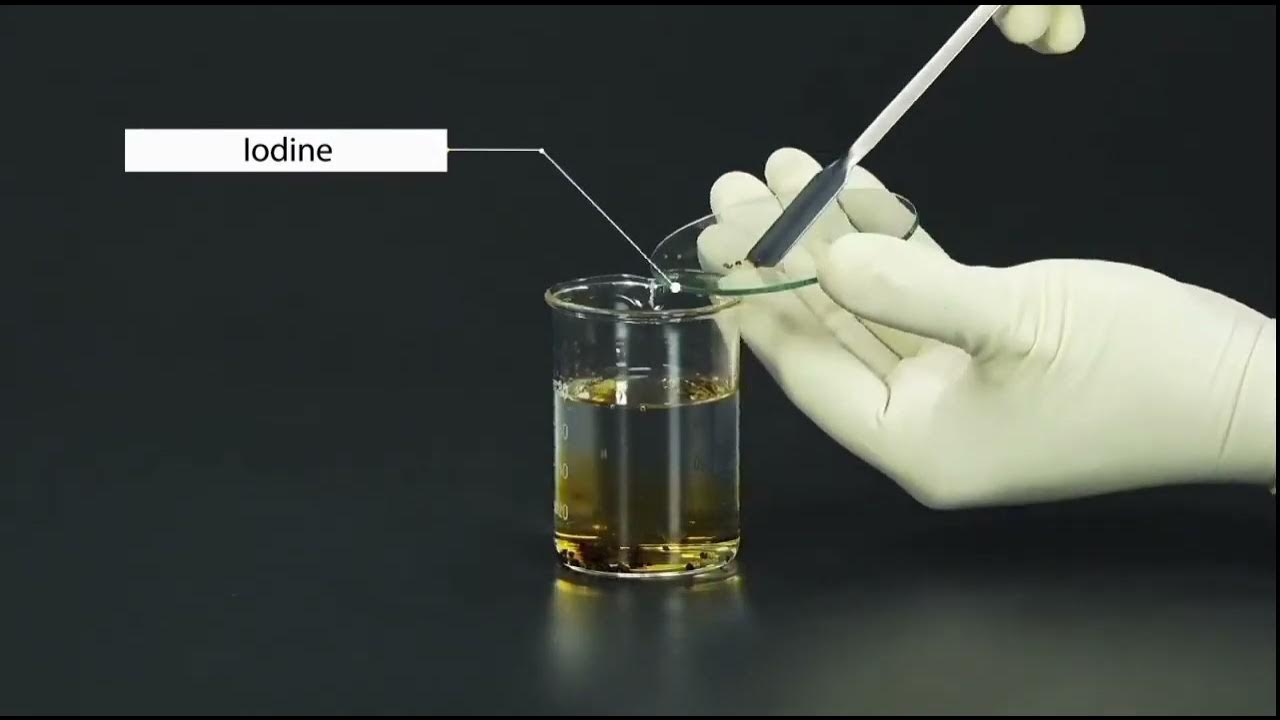 Types of Properties of solutions Class 9, Chemistry - YouTube