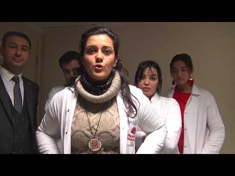 Hayvanlara Şiddetin önüne geçmek için kısa film çektiler