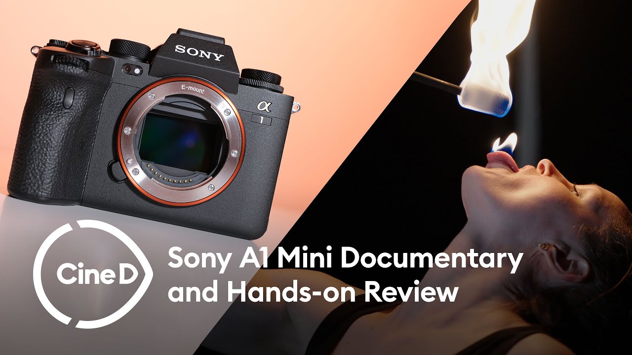 The BEST Sony Mirrorless?? – Sony Alpha 1 Review - "Music, Fire and Me ...