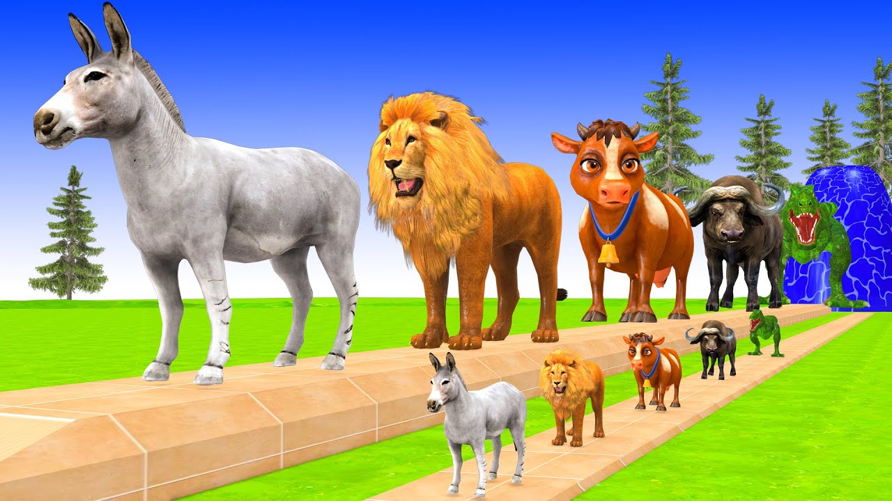 Paint & Animals Cow,Bufalo,Lion,T-rex,Donkey, Fountain Crossing ...