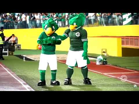 Os melhores mascotes do mundo são do Goiás - YouTube