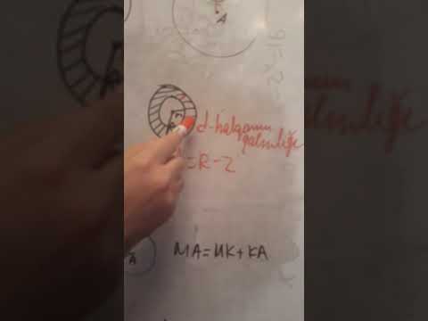 6cı sinif.İki çevrənin qarşılıqlı vəziyyətləri.