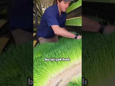 🌱 Gelecekte Tarlalara Gerek Kalmayacak! #belgesel