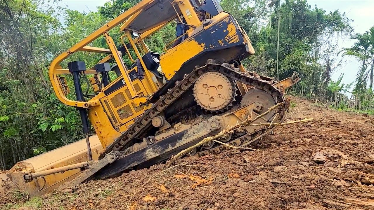 The Perfect Caterpillar D6R XL Dozer Opening Forest To people's ...