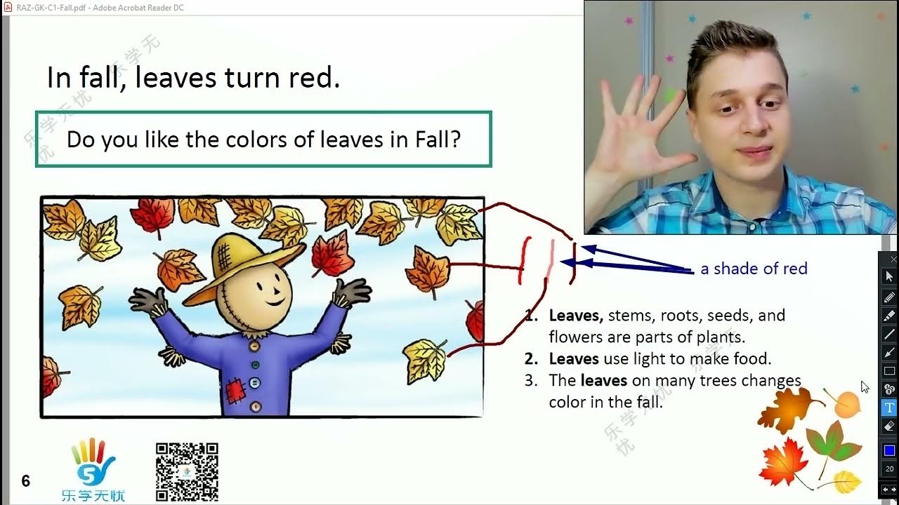 【RAZ C】Fall - YouTube