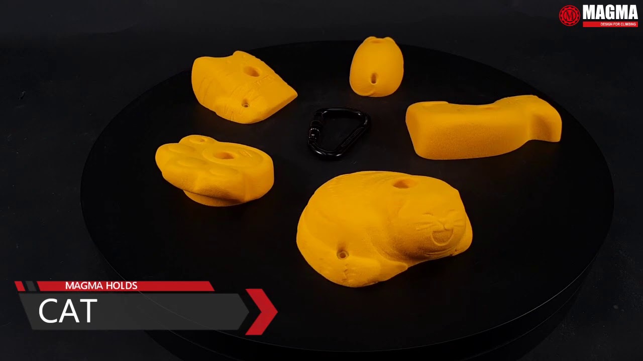 MAGMA HOLDS CAT - 마그마홀드 캣 - YouTube