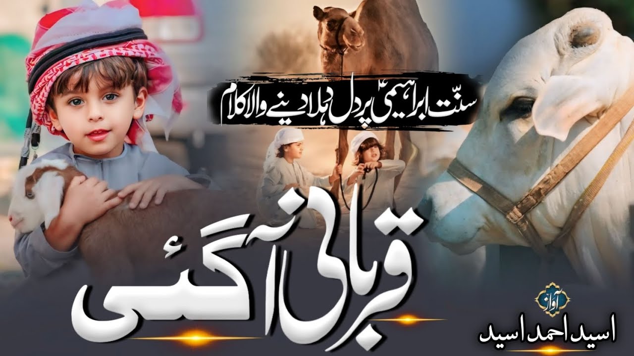 New Qurbani Nazm||Bakra Eid Special Nasheed 2024||Osaid Ahmad Osaid ...