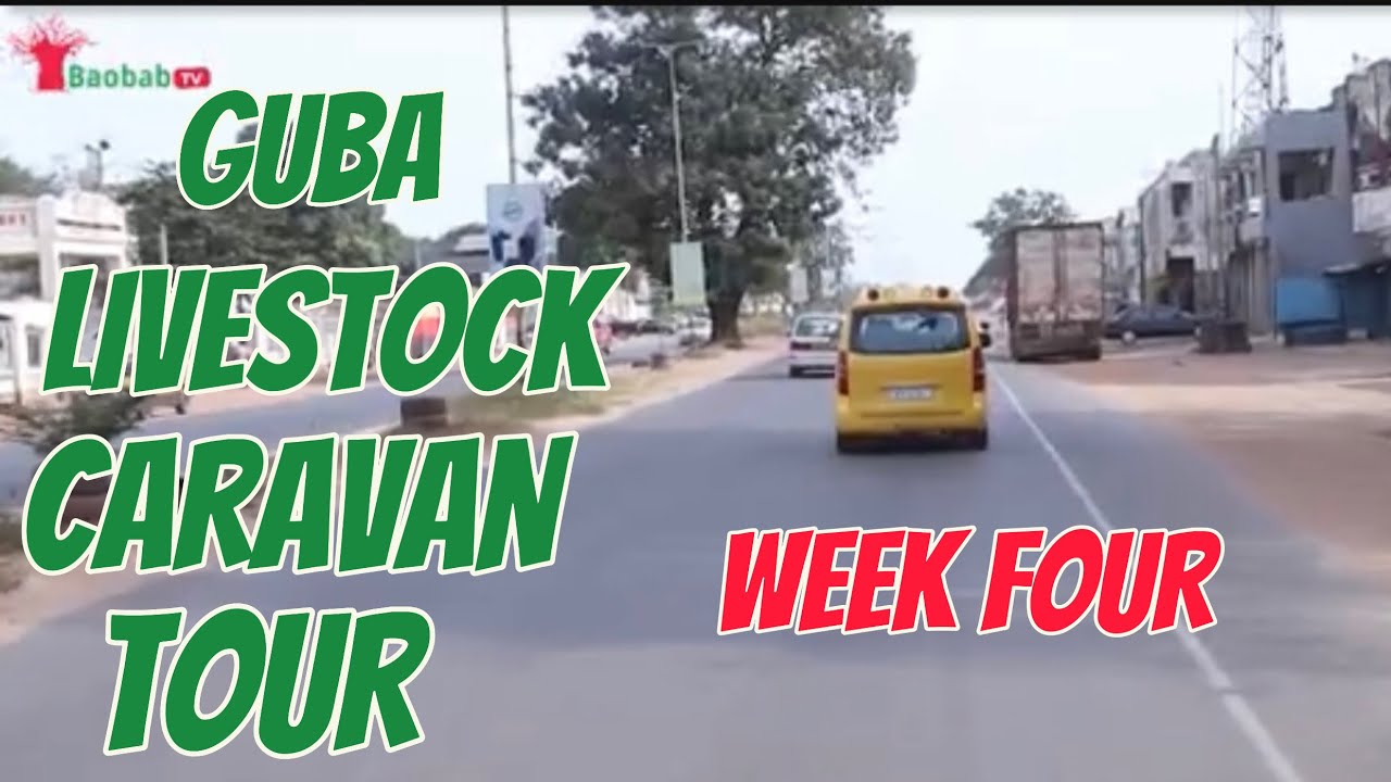 GUBA LIVESTOCK EXHIBITION CARAVAN TOUR WEEK FOUR - YouTube
