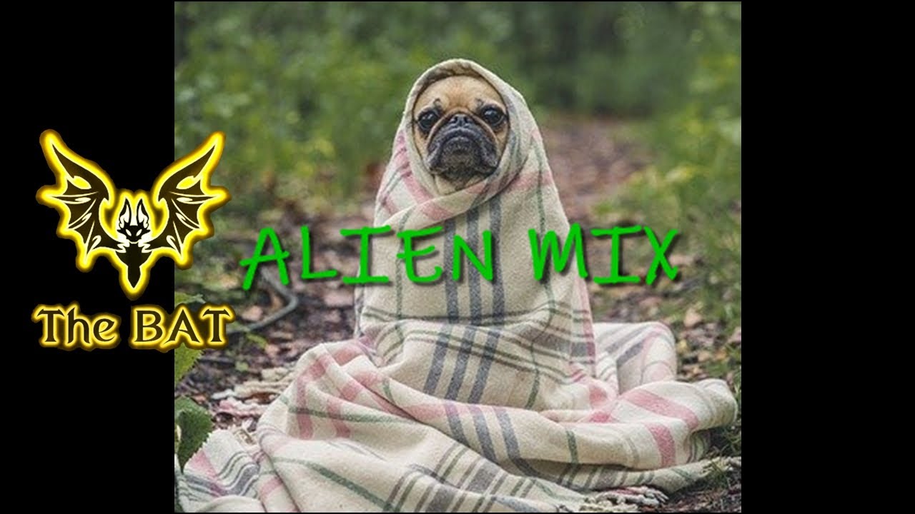 The BAT - ALIEN MIX - YouTube
