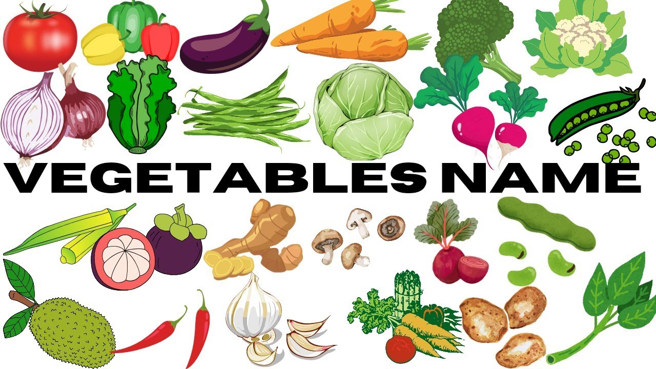 Vegetable Names with Pictures | Healthy Vegetables l Different Types of ...