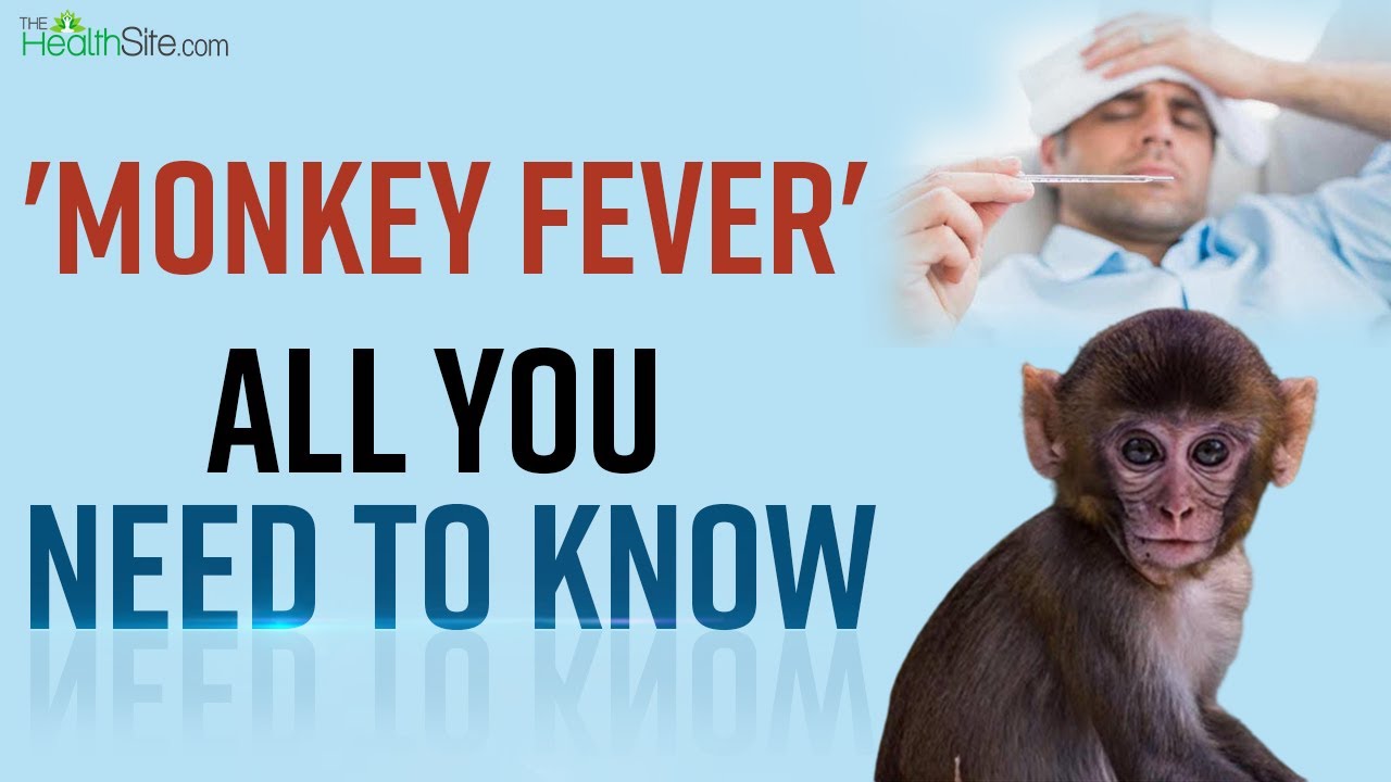 Monkey Fever: All You Need to Know | Monkey Fever in Kerela - YouTube