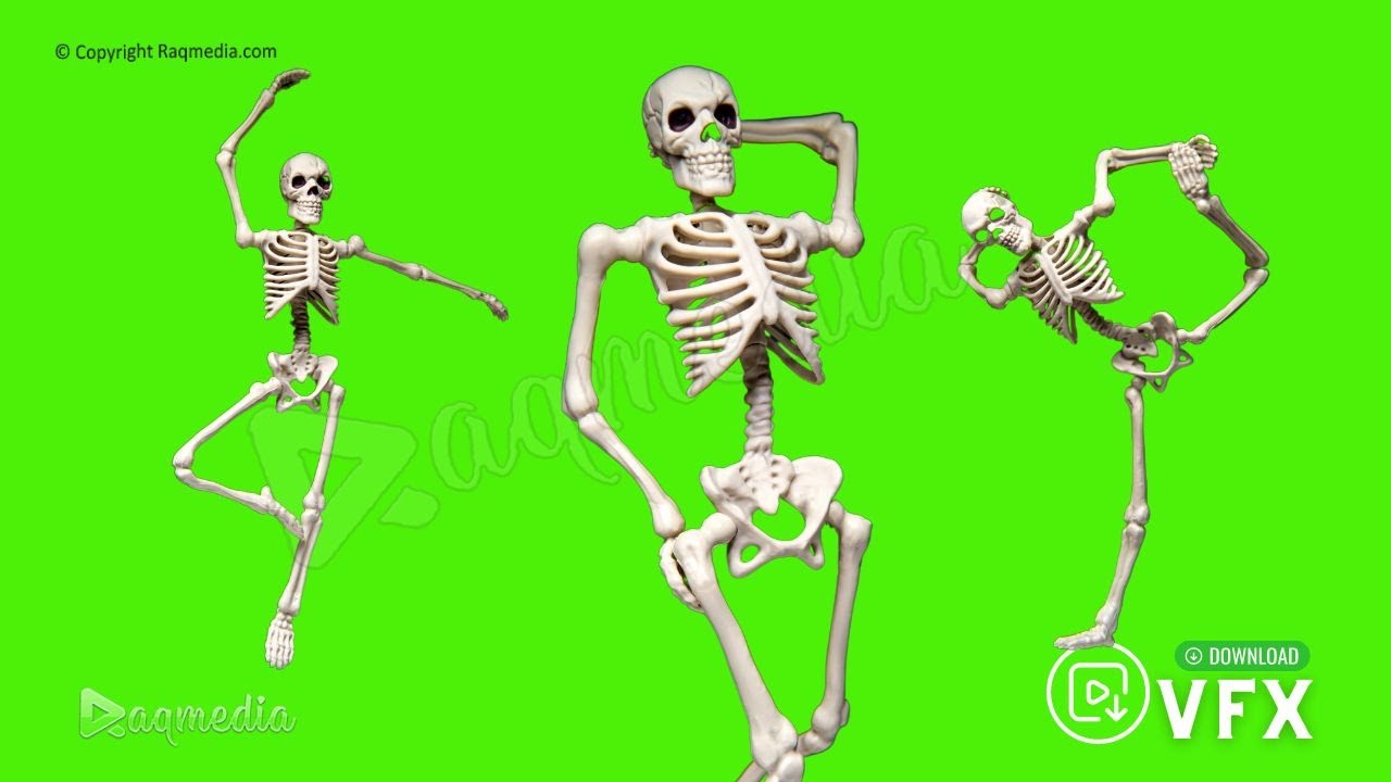 Skeletons Dancing Green Screen Free Effects Horror Chroma Key ...