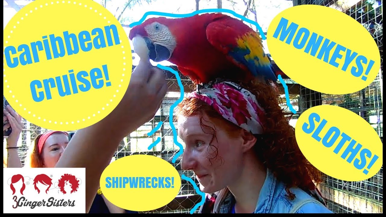 I HUGGED A SLOTH?! // 3 Ginger Sisters - YouTube