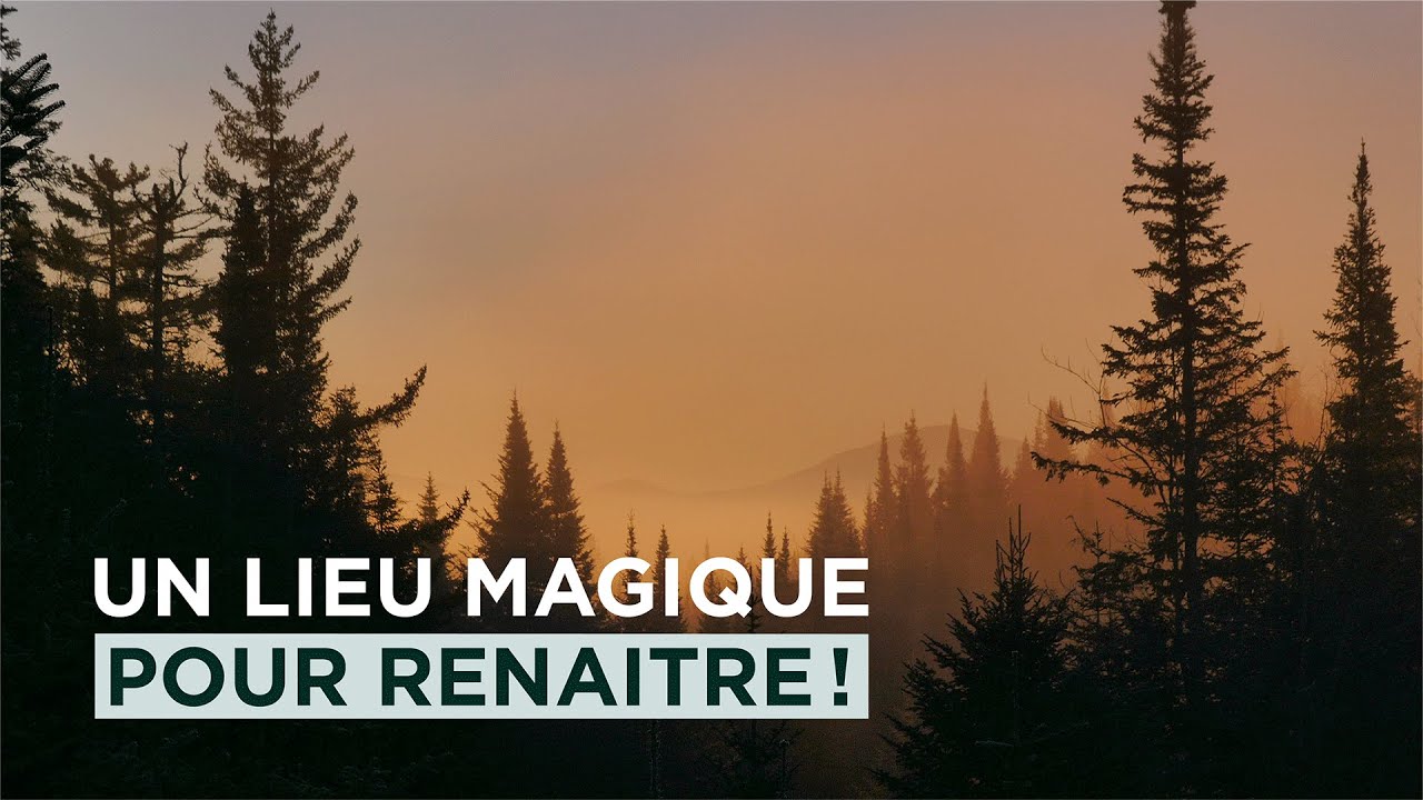25 - Un LIEU MAGIQUE pour RENAITRE... Les débuts d'une NOUVELLE VIE AU ...