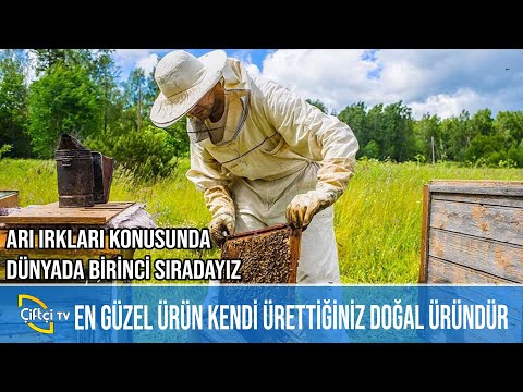 Doğal Ürünler Nasıl Elde Edilir - A'dan Z'ye Arıcılık