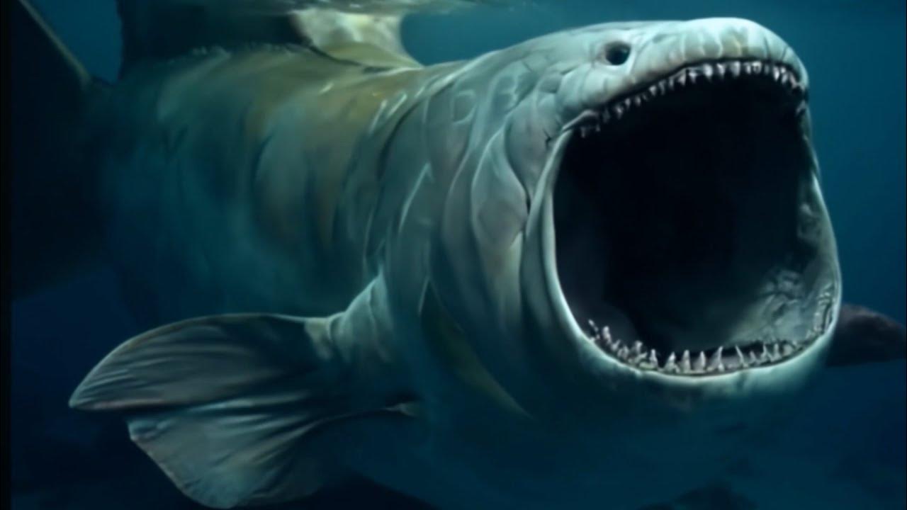 The Bloop Attack - YouTube