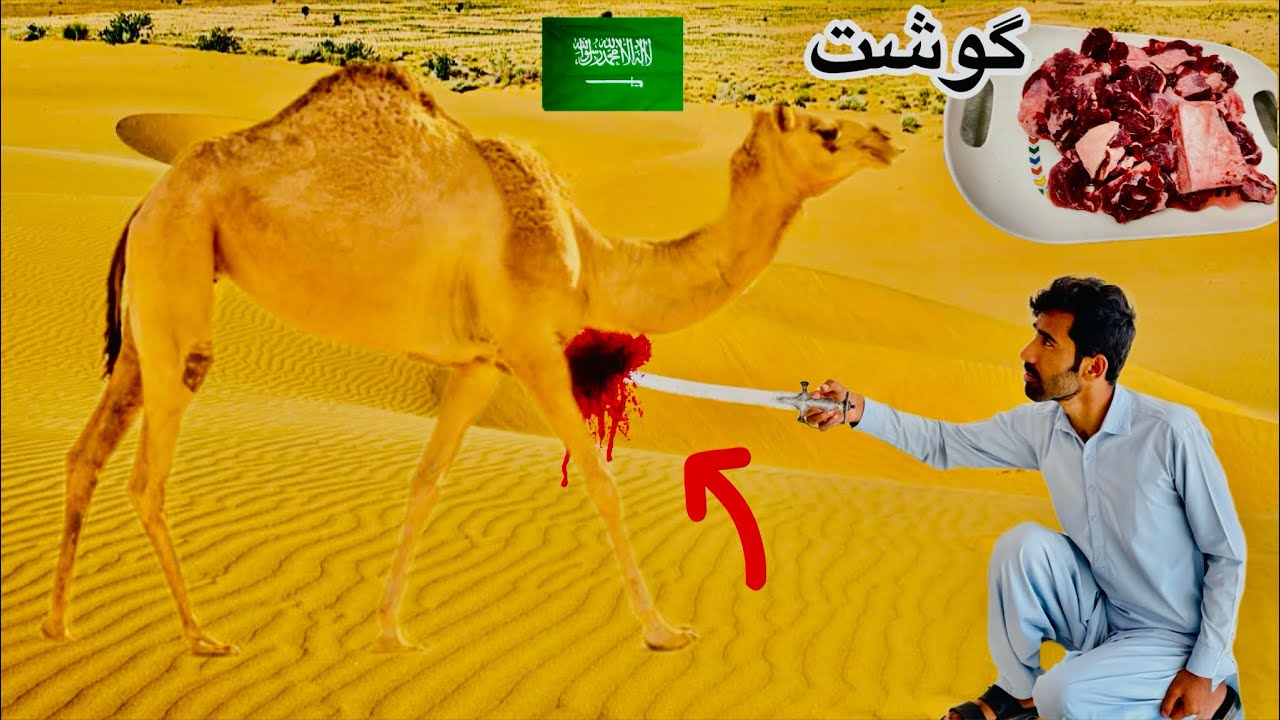 Camel 🐪 Meat Eat in Saudi Arabia 🇸🇦| Saudi Arabia Vlog | saudi vlog ...