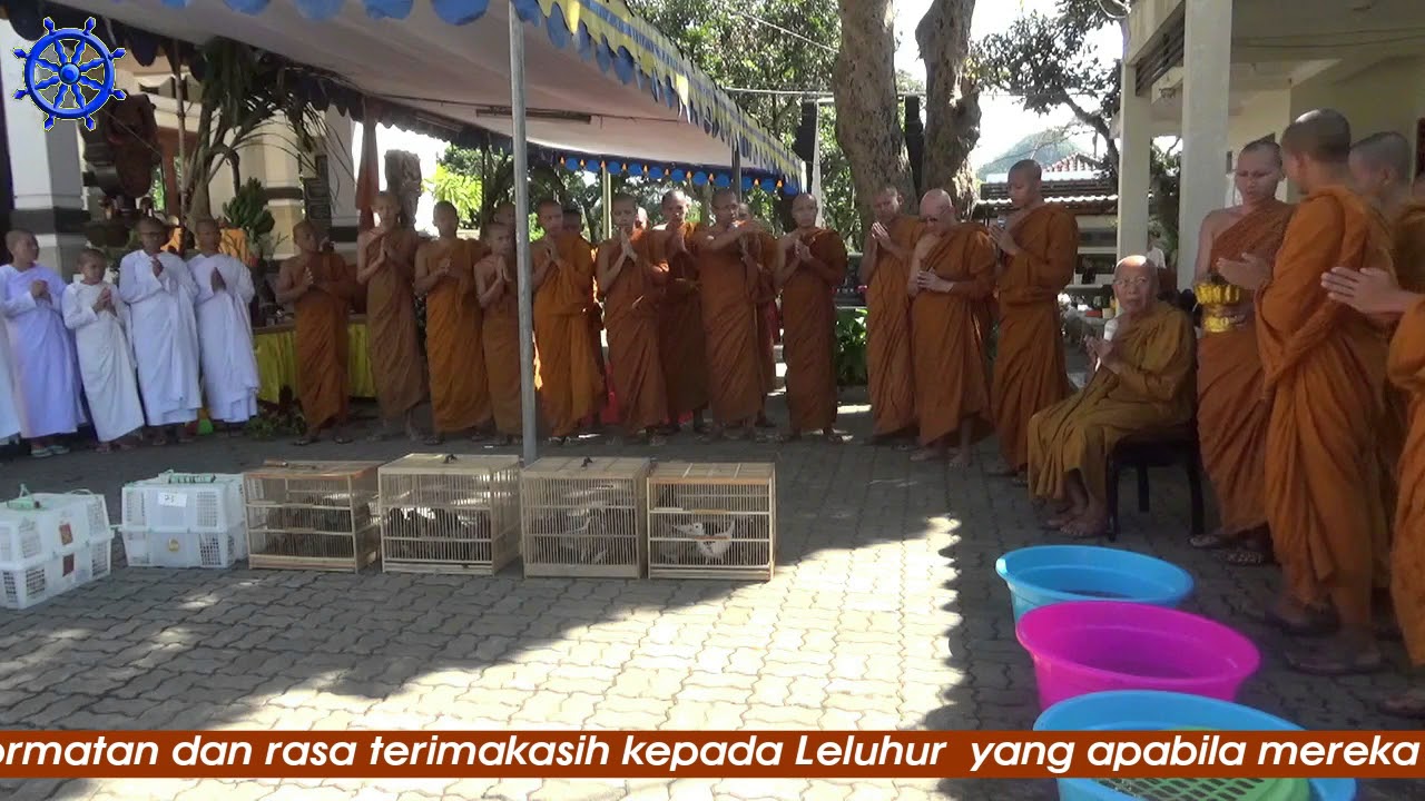 FANG SHENG - YouTube