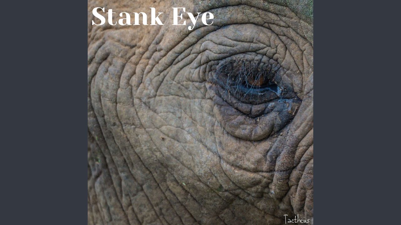 Stank Eye YouTube stank-eye-youtube