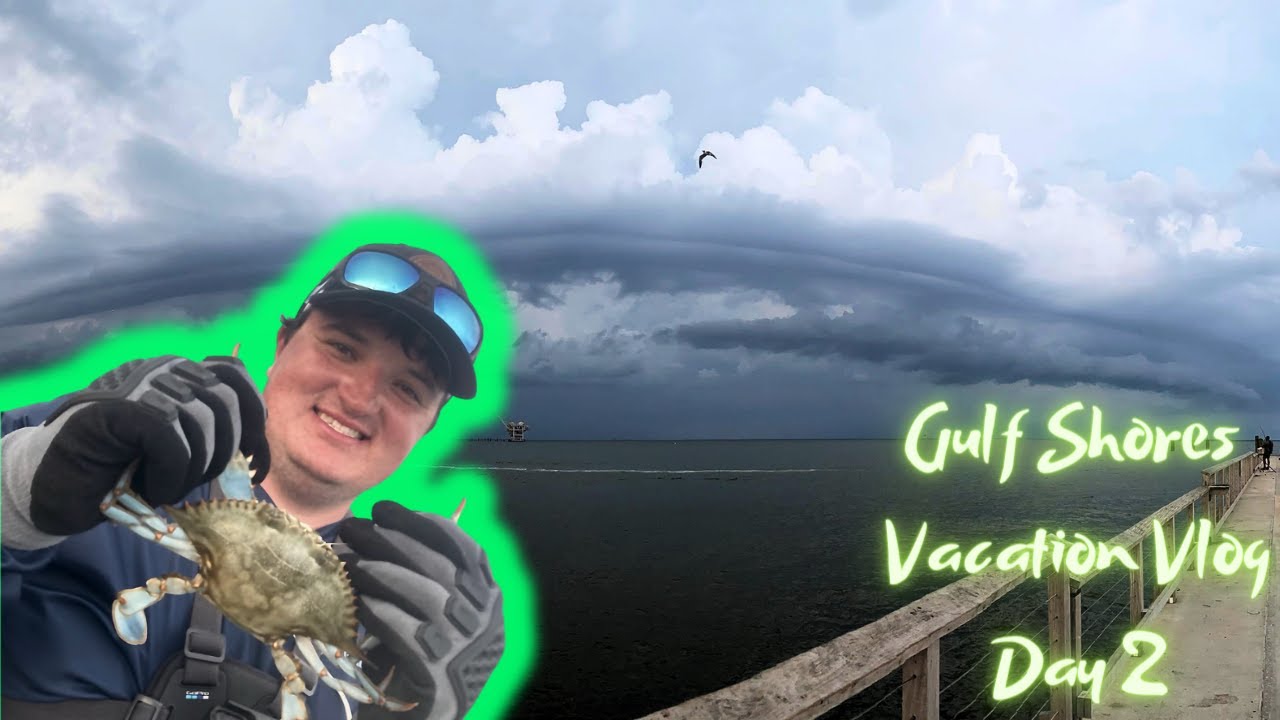 BLUE CRAB CATCH/CLEAN/COOK!!! (GULF SHORES/FORT MORGAN, AL) - YouTube