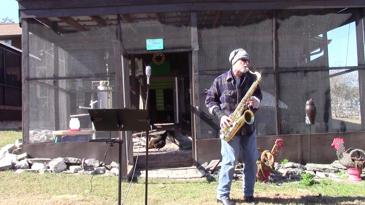 Thomas Lee Clark tenor saxophone - Little Red Rooster - YouTube