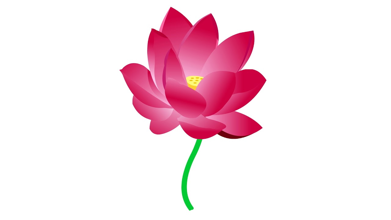 Lotus animation - YouTube