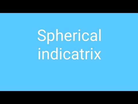 Spherical indicatrix.(lec-1) - YouTube