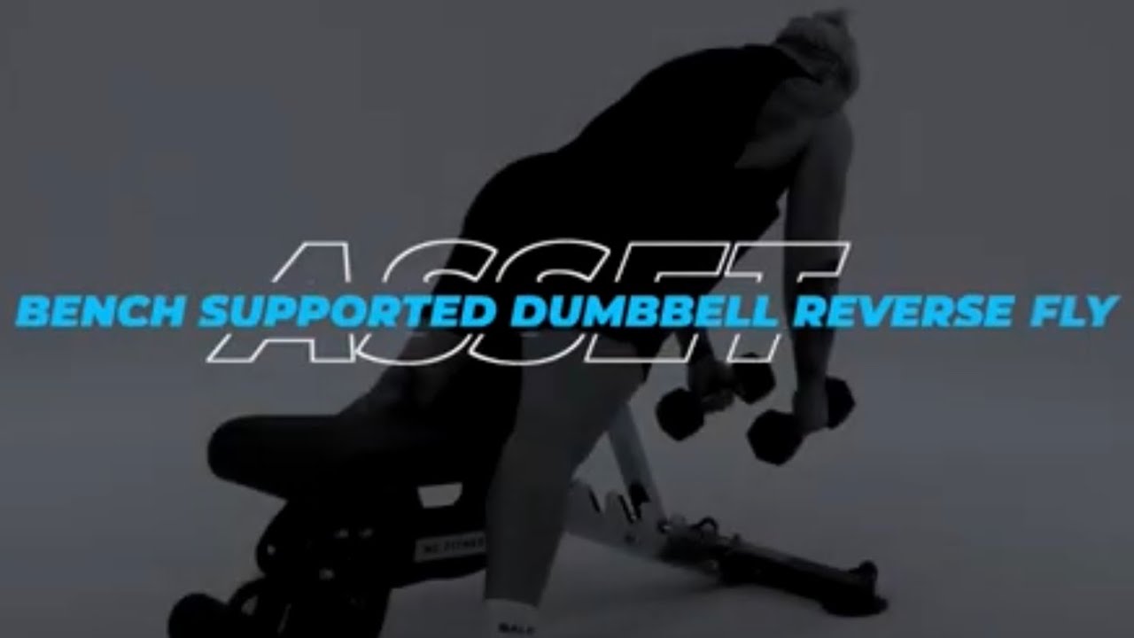 BENCH SUPPORTED DUMBBELL REVERSE FLY - YouTube