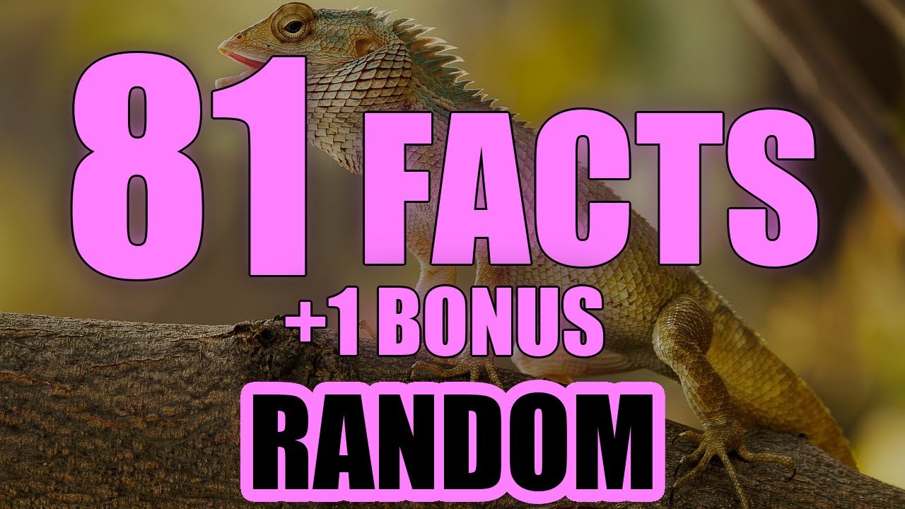 81 Amazing and Random Facts That Will Stun You- (+1 Bonus Fatc) - YouTube
