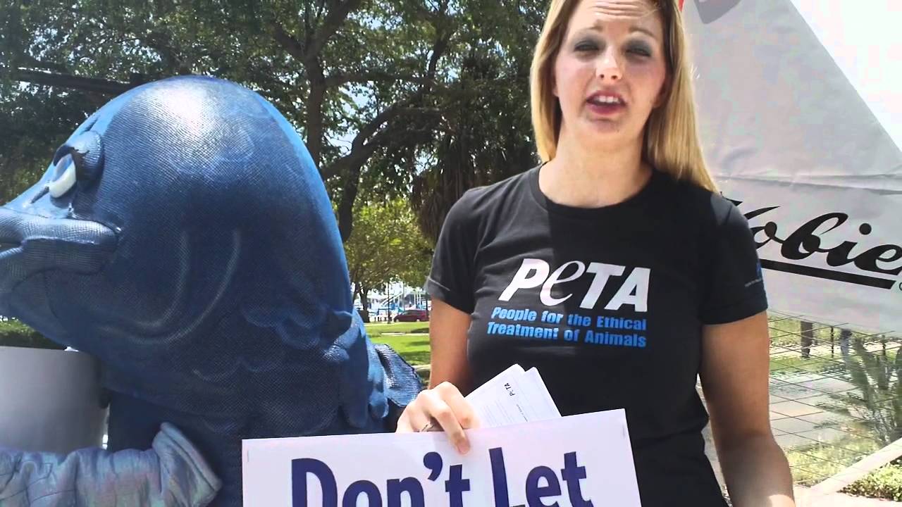 PETA campaigner: Fishing is bad - WMNF News - YouTube