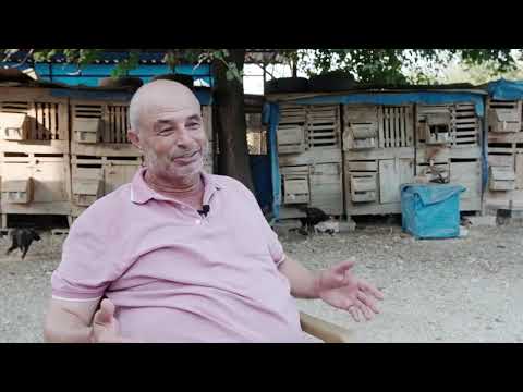 Adana Güvercin Hikayeleri Şalvarlı Ramazan