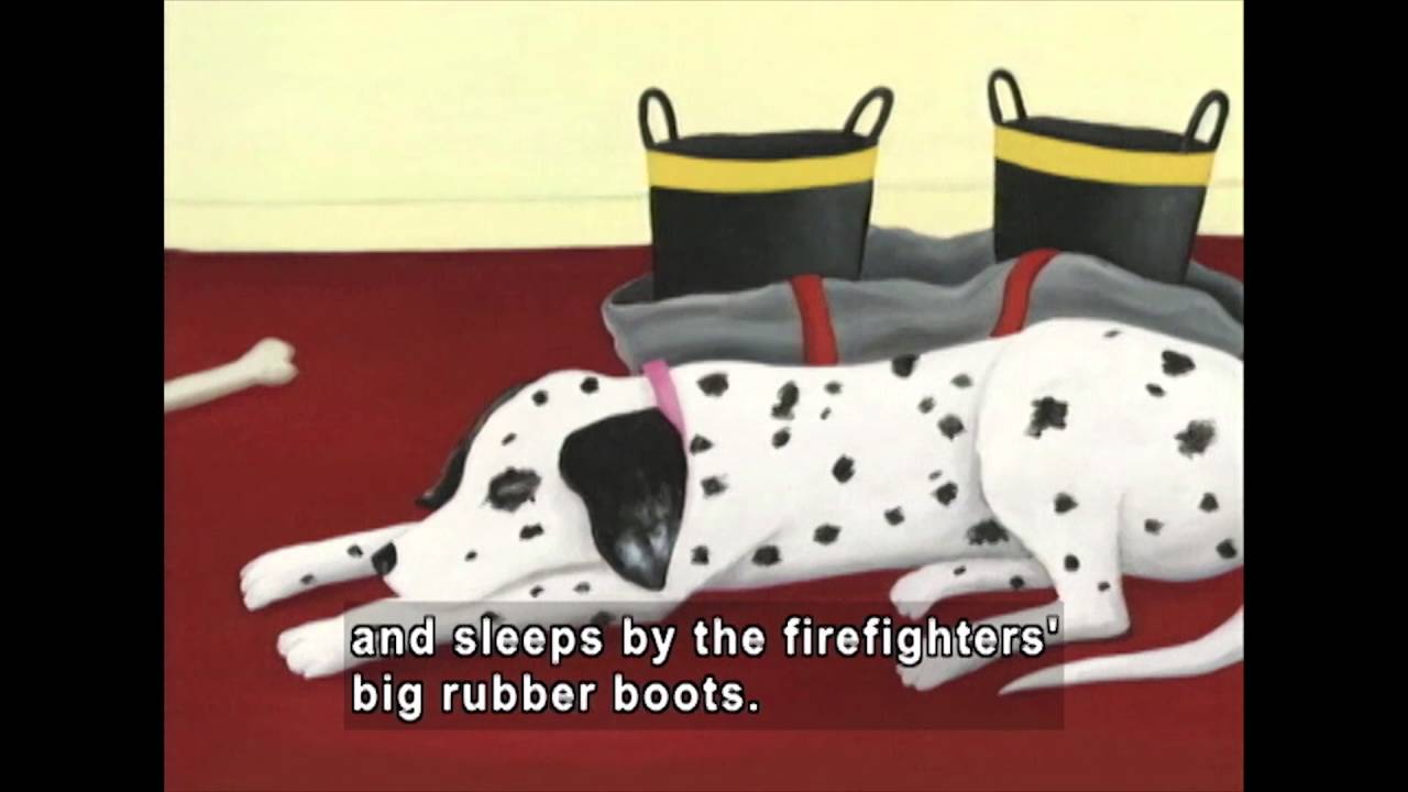 Dot The Fire Dog (Accessible Preview) - YouTube