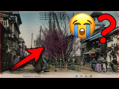 Types of prostitution in modern Japan - Narrated Wiki English