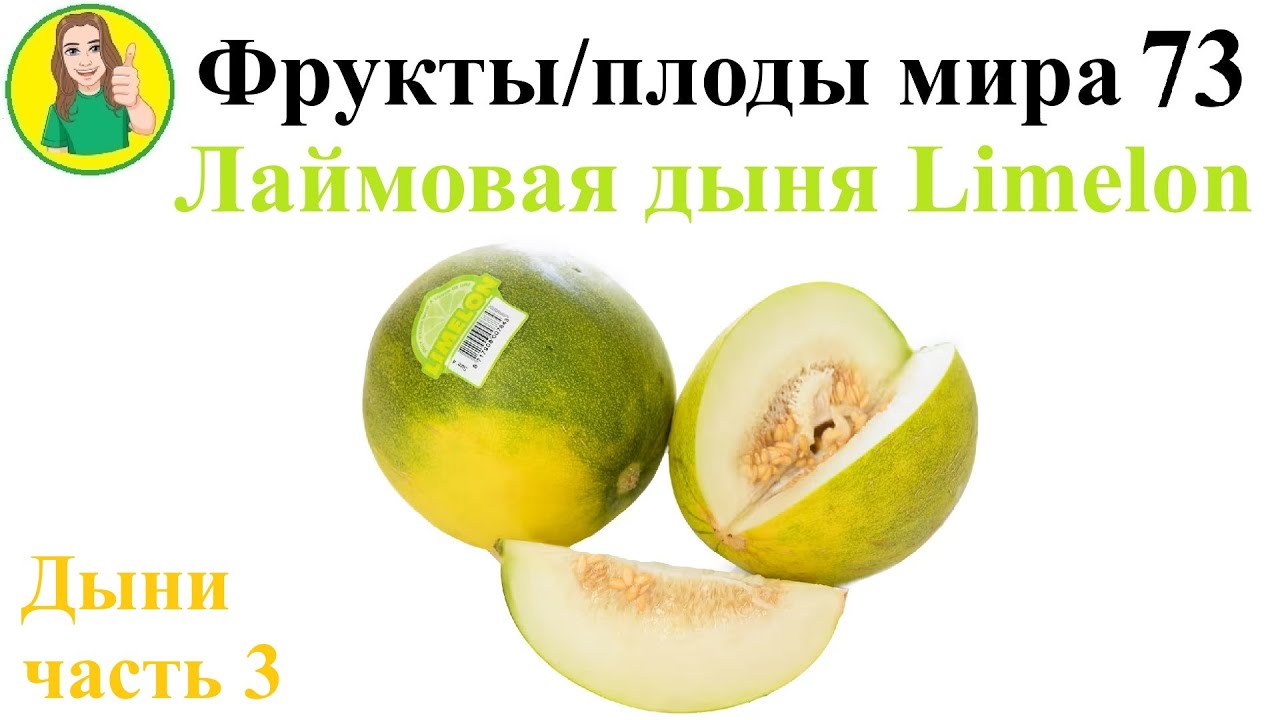 Фрукты плоды мира 73 – Лаймовую Дыню Limelon Сыроедение Фрукторианство ...