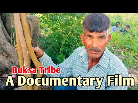 Buksa Tribe A Documentary Film | Dhakiya Uttar Pradesh | Sachin Weds ...