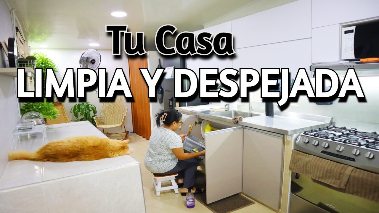 🟣 Cómo LIMPIAR y DESPEJAR tu CASA en Segundos y sin Tanto Trabajo ...