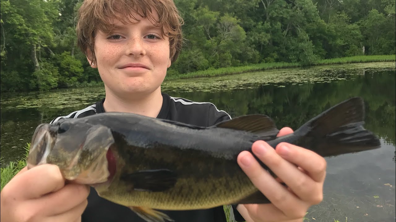 Freshwater fishing - YouTube